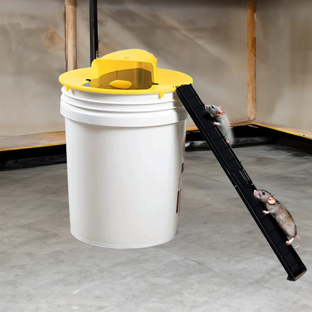 Reusable Flip-and-Slide Humane Bucket Trap for Mice and Medium-Sized R