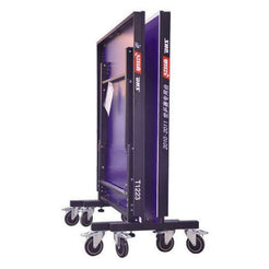 DHS T1223 Top Separated T.T. Table - Premium Table for Indoor Play